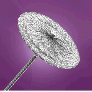 PFO/ASD - Dr Diana Holdright